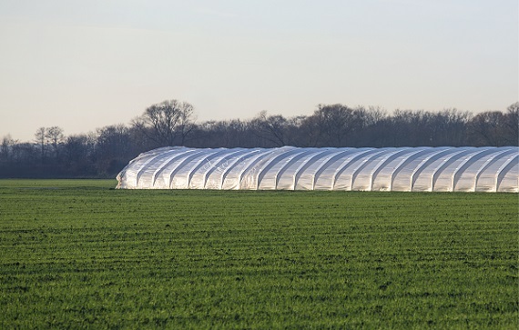 INNOVATIVE SOLUTION FOR GREENHOUSE FILMS