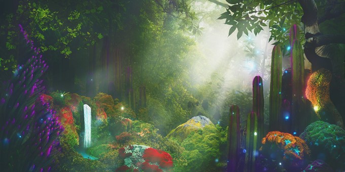 Beauty Wizard - Rediscover the powers of nature
