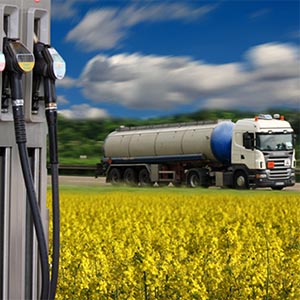 Cold Flow Improver for Biofuels