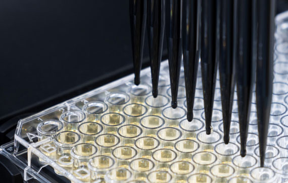 High-throughput testing – ensuring safe cosmetics with cutting-edge ...