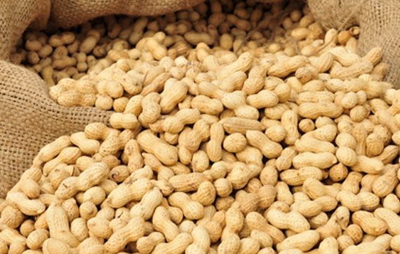 USA Peanut Congress