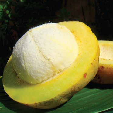 Beraca Bacuri Butter